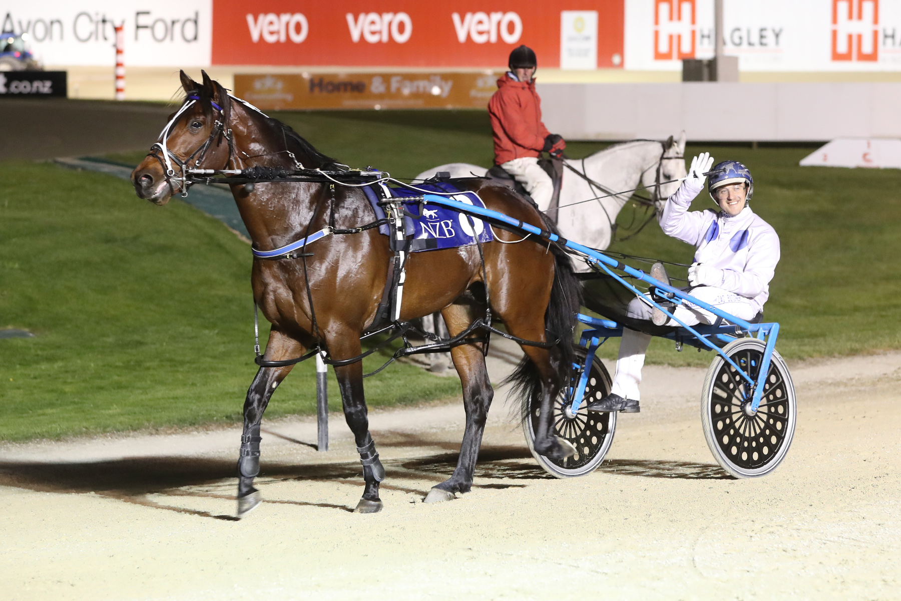 Merlin remains unbeaten in 8 starts - Alabar Farm