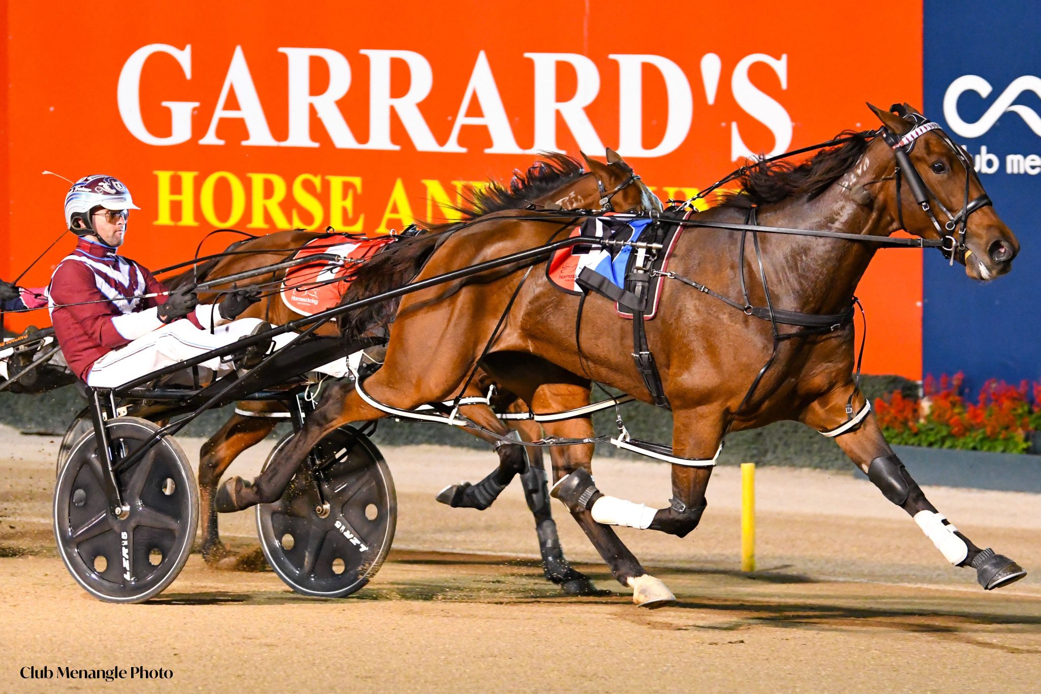 Alabar Stallions Siring Prowess on Show - Alabar Farm